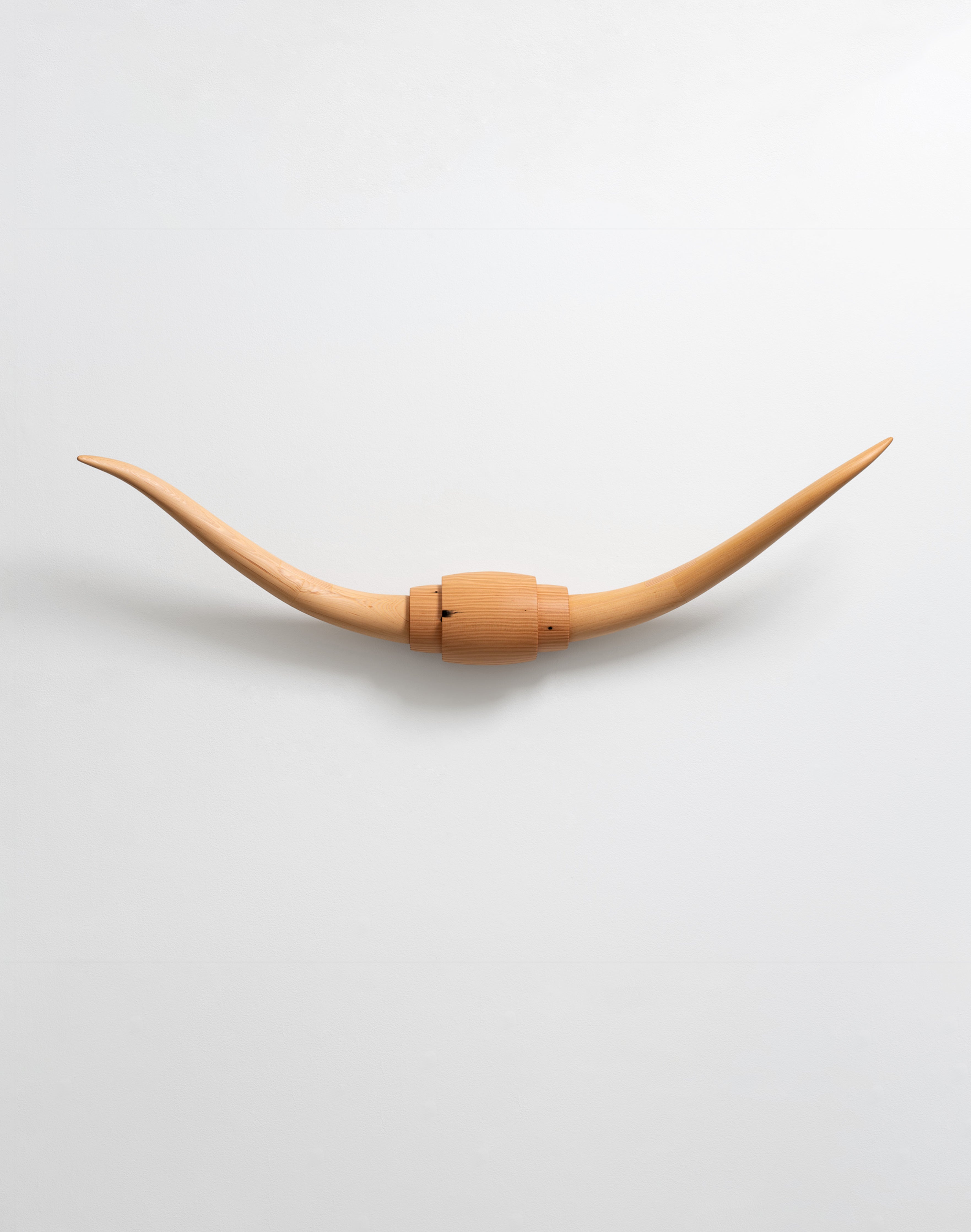 Bull Horns – DUDD HAUS